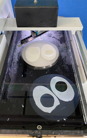 Tissue Slicing Solutions for Whole Organ Sectioning