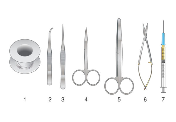 New Protocol Guide: Everything You Need to Know About Precision-Cut ...