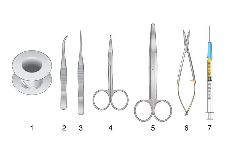 New Protocol Guide: Everything You Need to Know About Precision-Cut ...